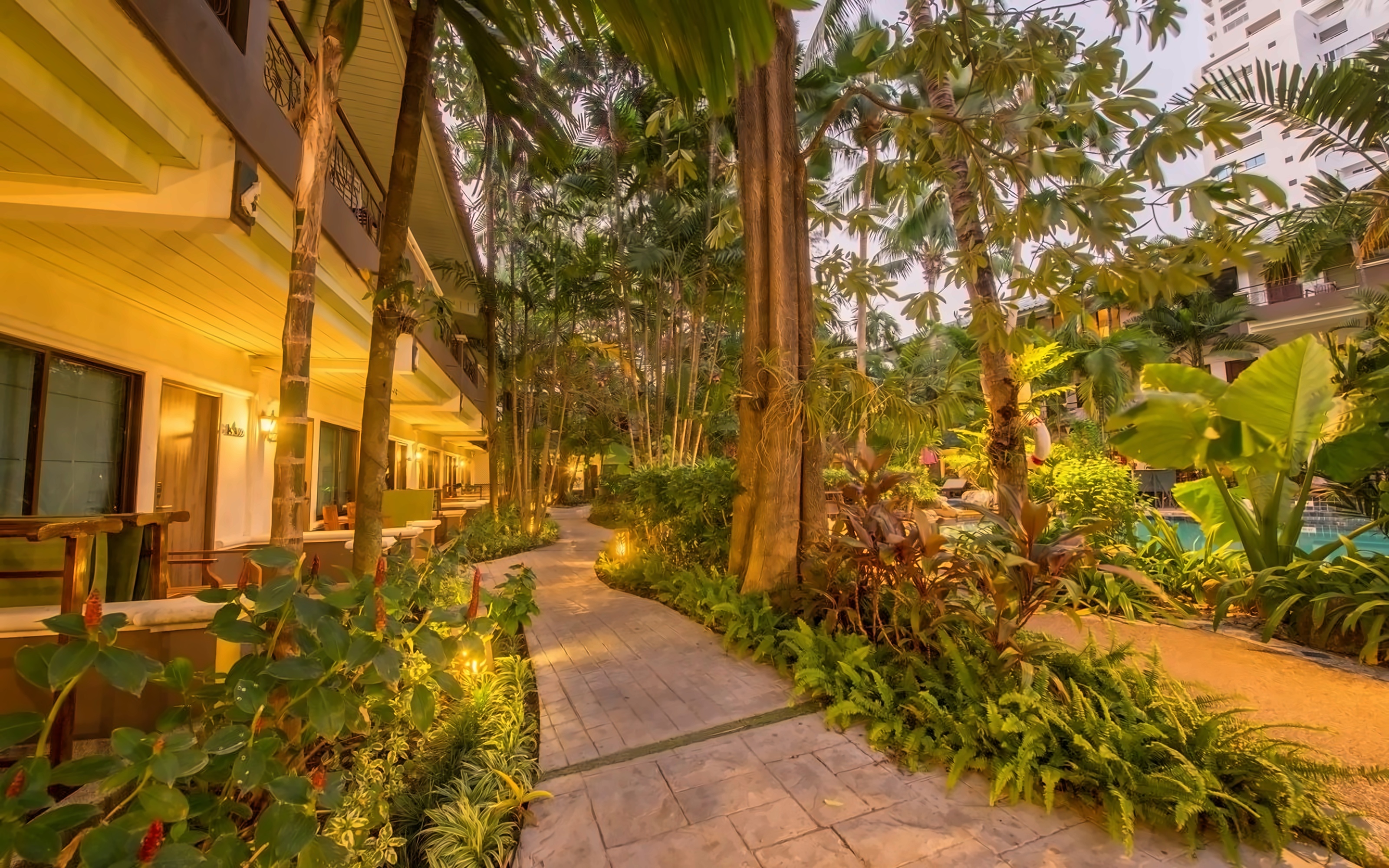 Viridian Patong Resort Phuket Patong Таиланд photo, price for the ...