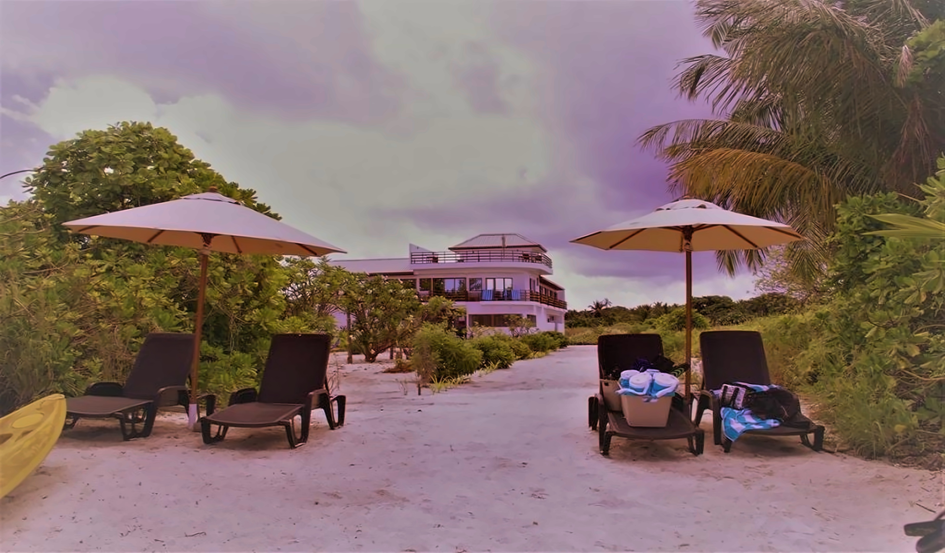 Olive Goidhoo Raa Atoll & Baa Atoll Maldives photo, price for the ...